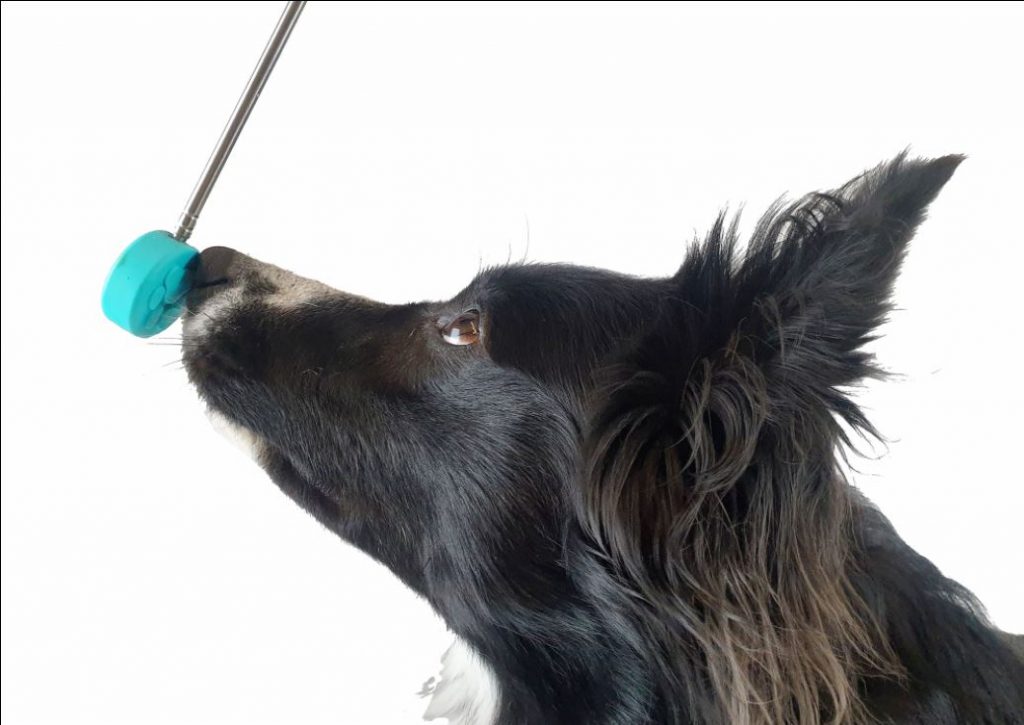 Ensemble cible et Target Stick - shop Dog'N'Fun